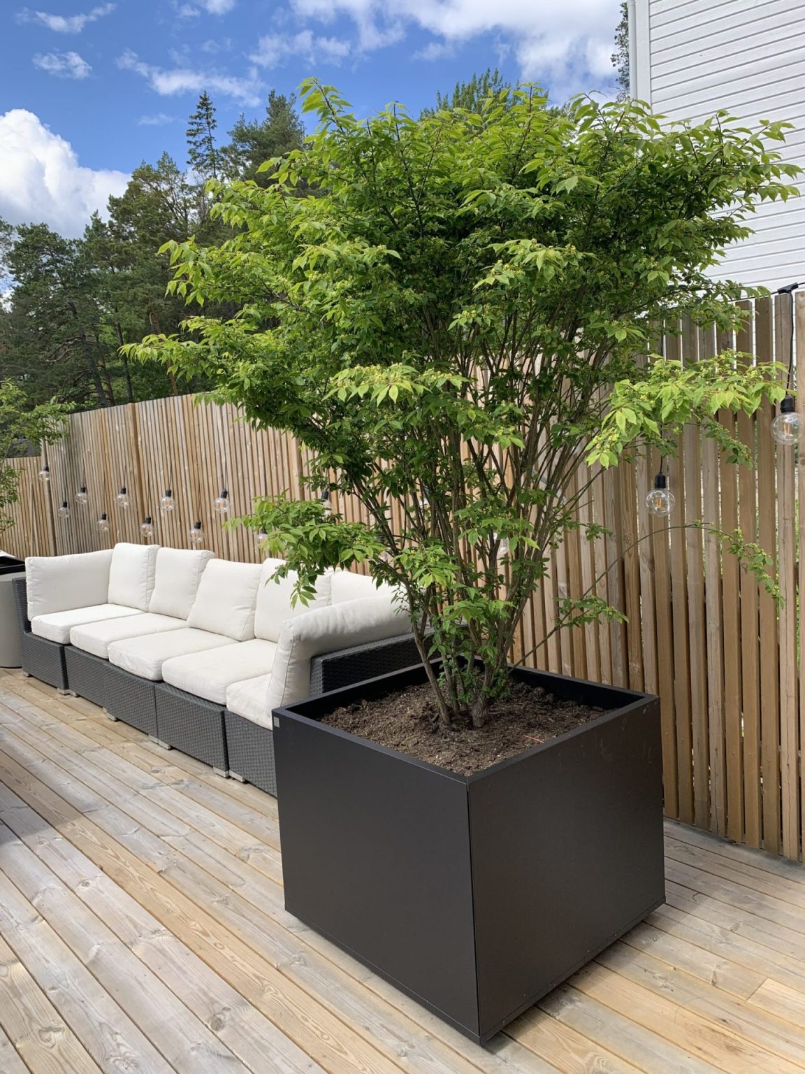 Plant Box Kub 80x80x60 cm | Wernamo Design